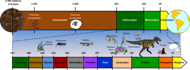 Géochronologie – Sedisor
